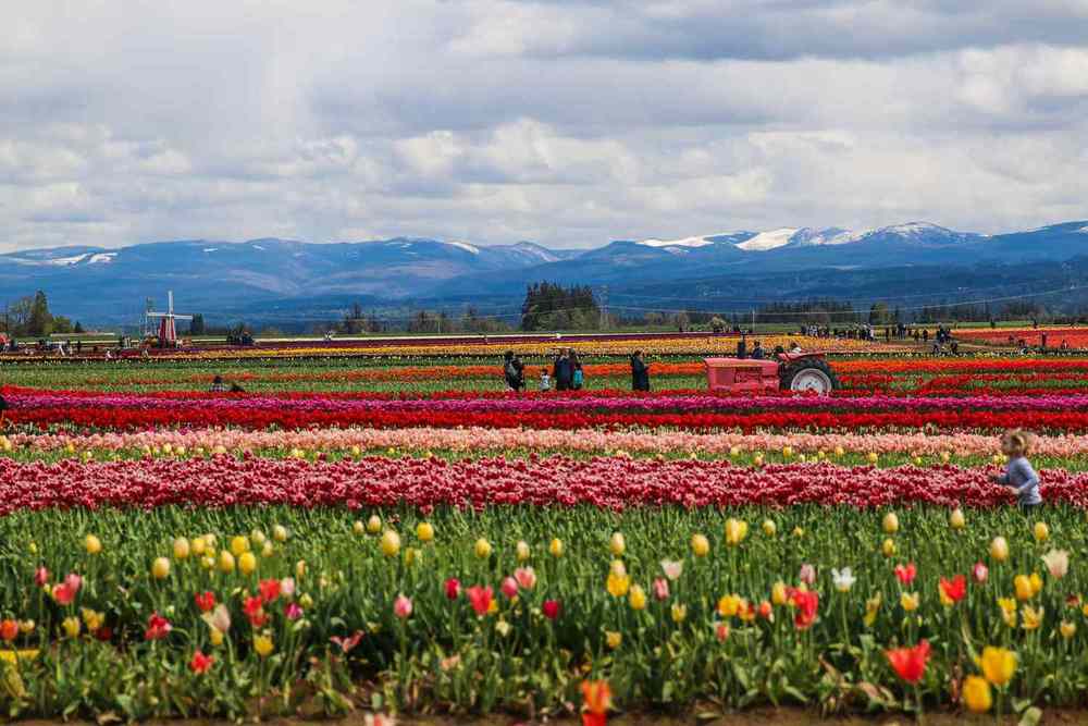 PHJH Newsletter 5/14/23-5/18/23 | Providence Hall Junior High